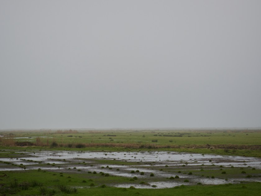 Ramblings | Martin Stokhof